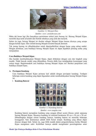 Modul Ajar Prakarya Budidaya Kelas 8 SMP/MTs Fase D Kurikulum Merdeka | PDF