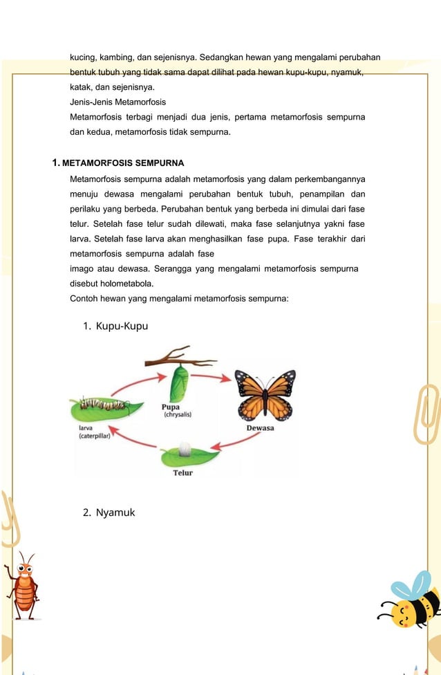 MODUL AJAR SIKLUS MAKHLUK HIDUP KELAS 3.docx