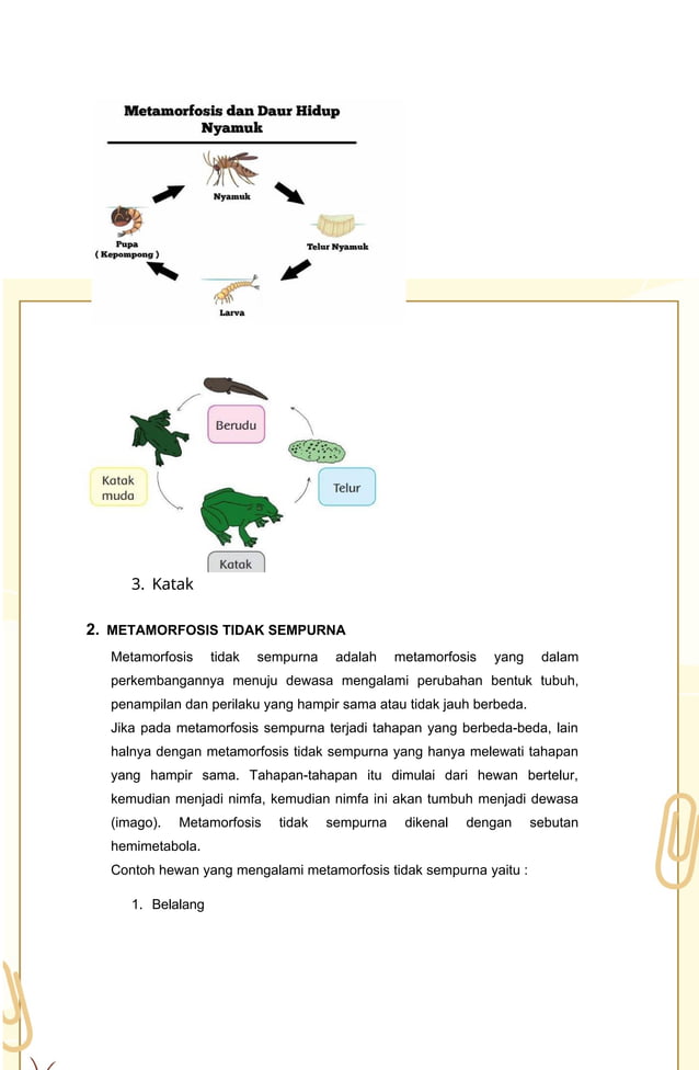 MODUL AJAR SIKLUS MAKHLUK HIDUP KELAS 3.docx