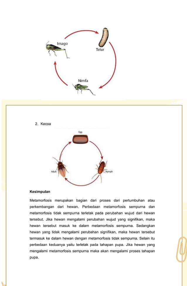 MODUL AJAR SIKLUS MAKHLUK HIDUP KELAS 3.docx