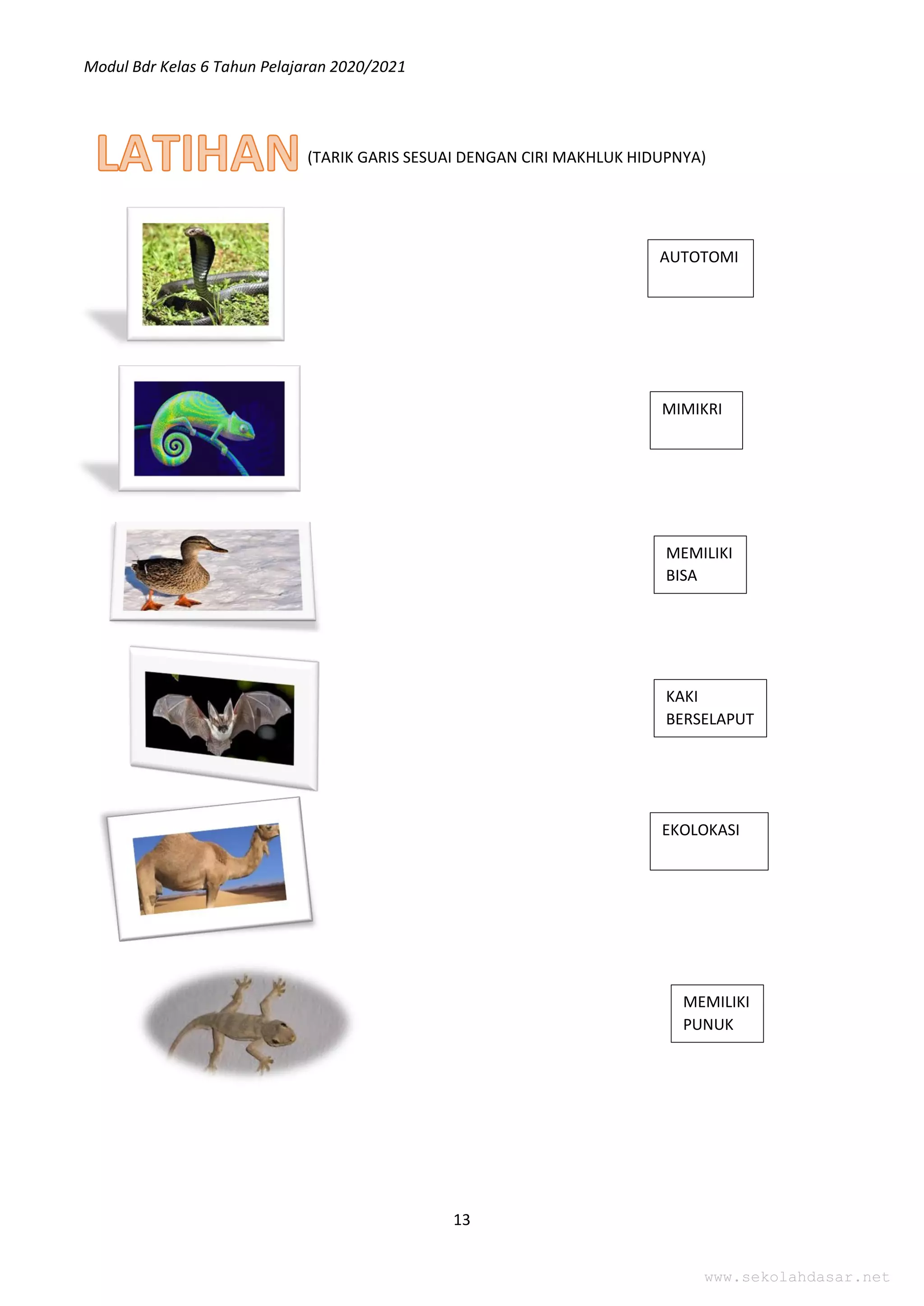 Modul aki bagi kelas 6 tema 2 | PDF
