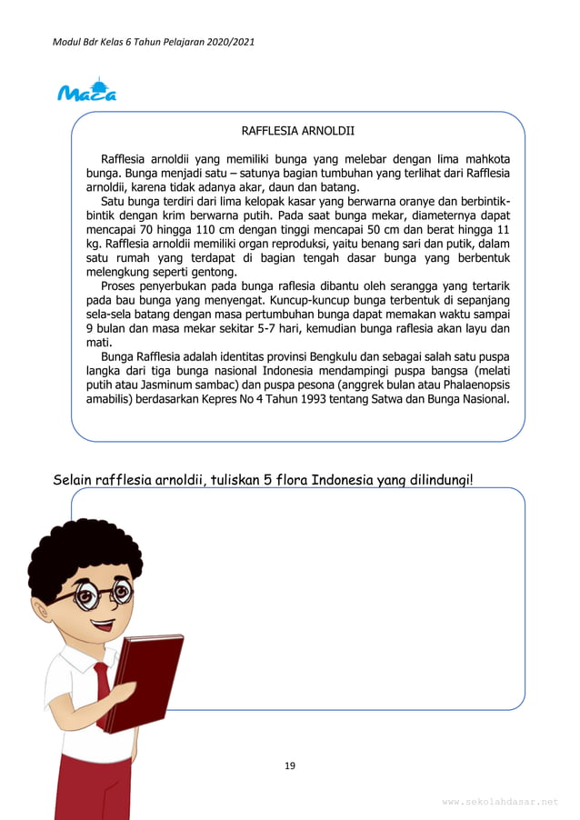 Modul aki bagi kelas 6 tema 2 | PDF