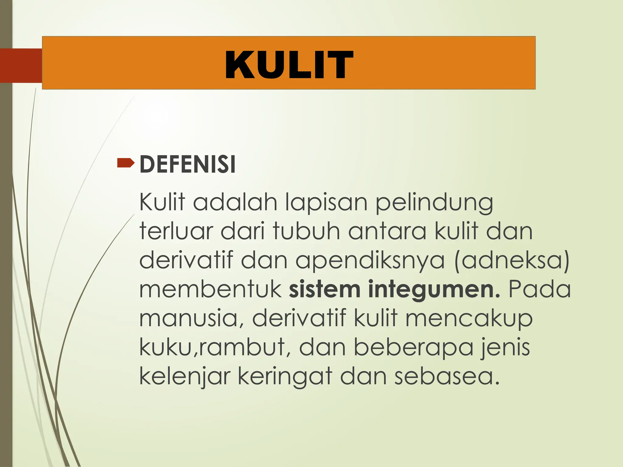 Modul Anatomi d Fisiologi kulit PTT.pptx