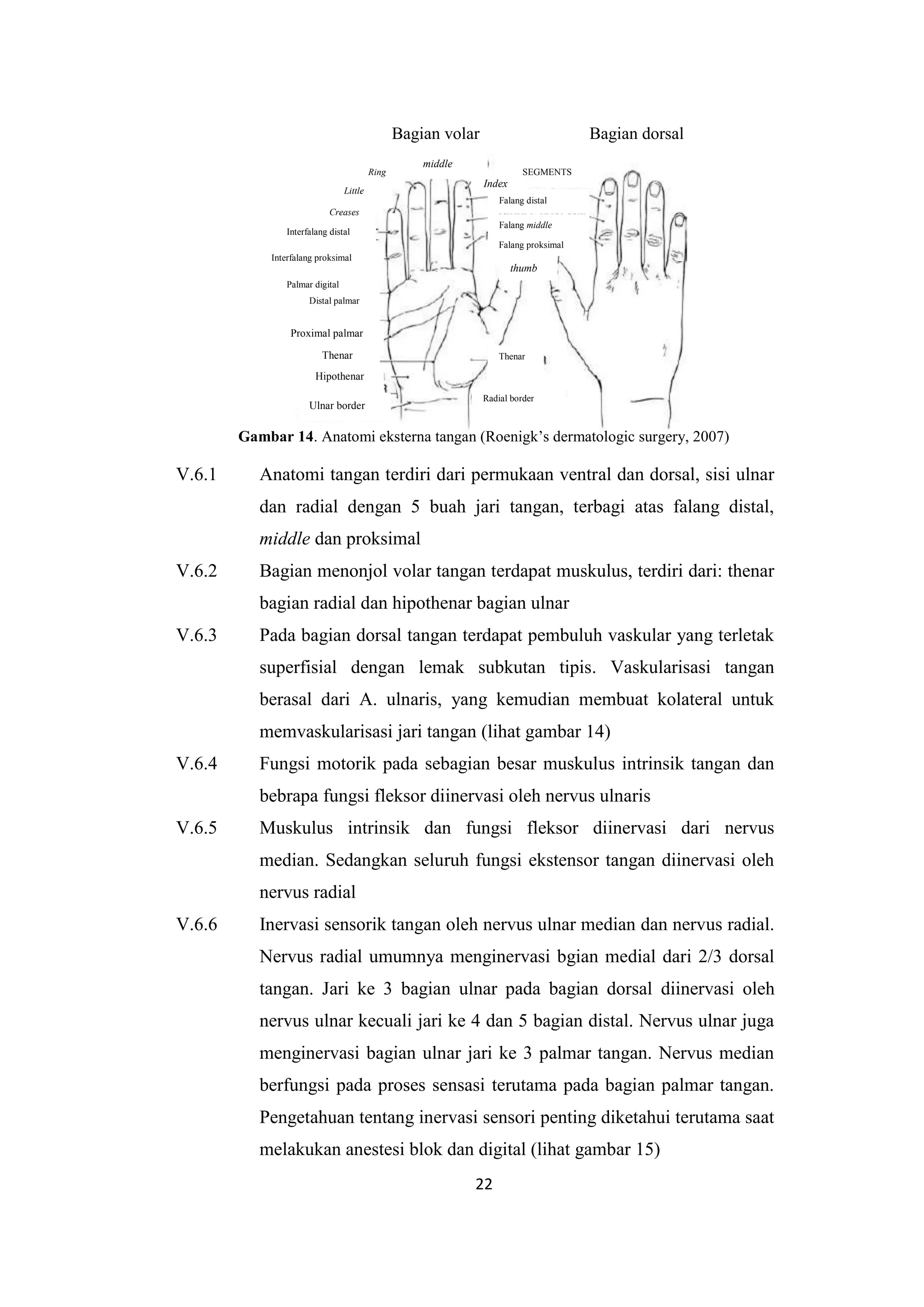 Modul Anatomi Kulit Terkait Bedah Skalpel_K1.2.3.docx