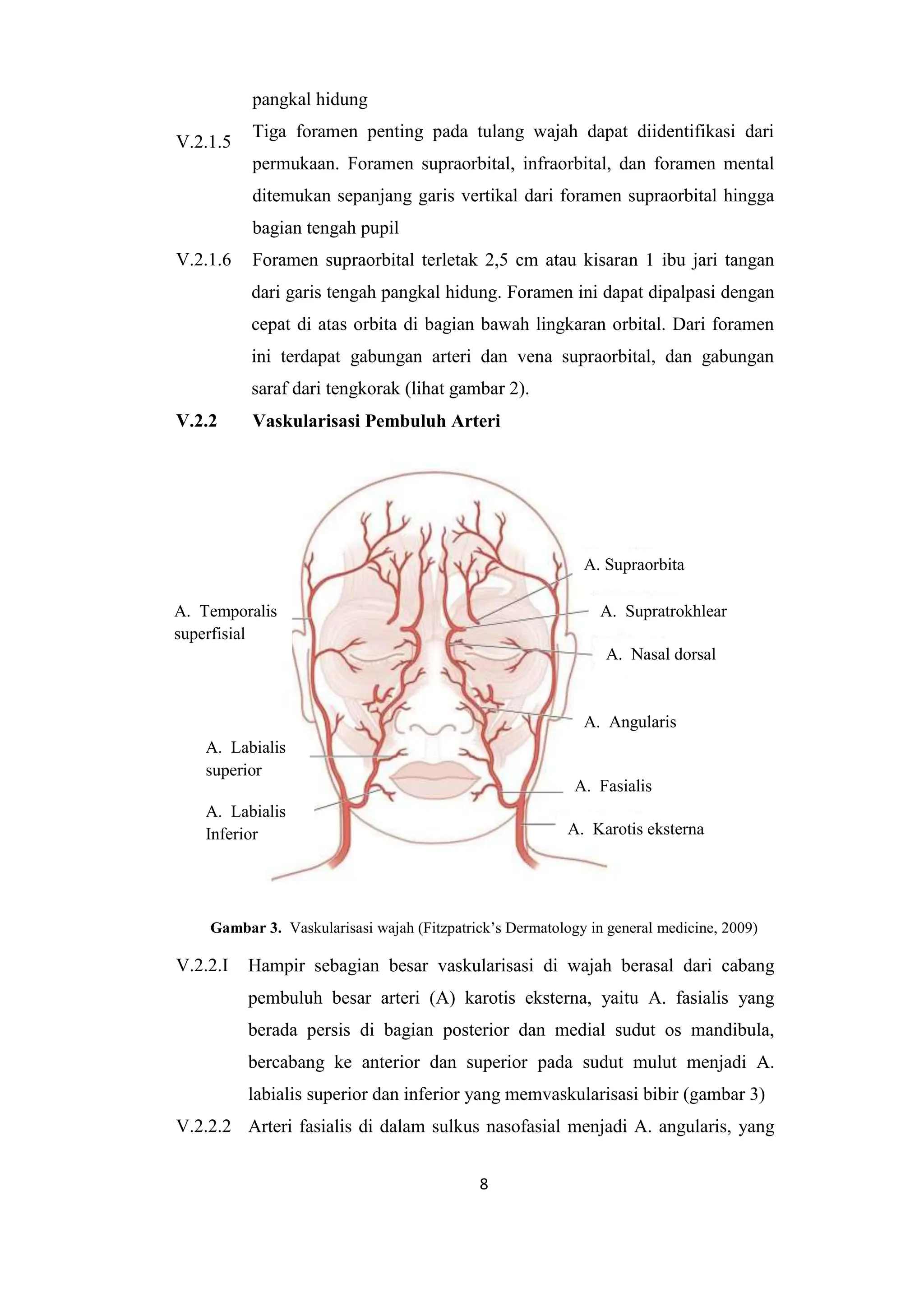 Modul Anatomi Kulit Terkait Bedah Skalpel_K1.2.3.docx