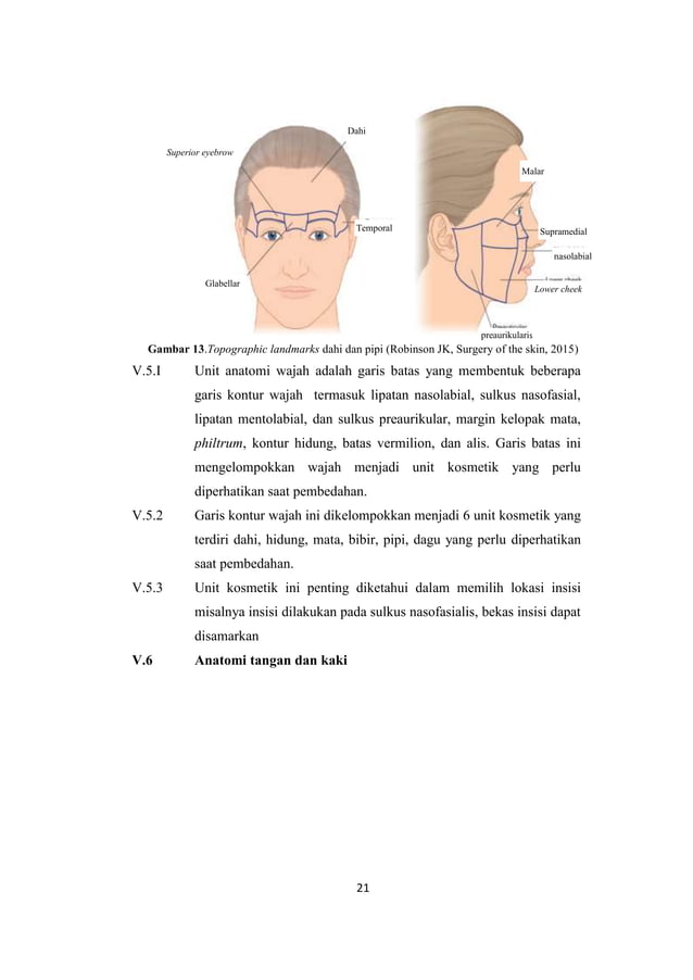 Modul Anatomi Kulit Terkait Bedah Skalpel_K1.2.3.docx
