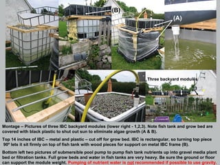 Modular growth | PPS