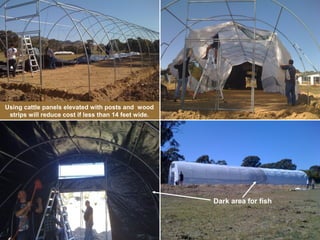 Modular growth | PPS