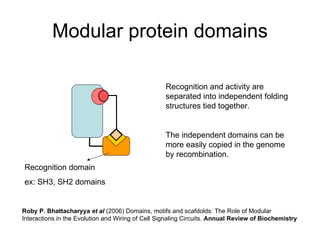 Modularity and evolvability | PPT