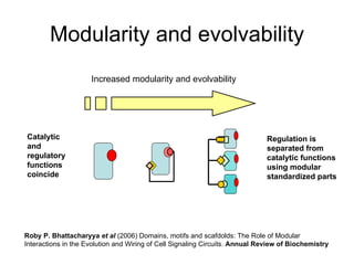 Modularity and evolvability | PPT