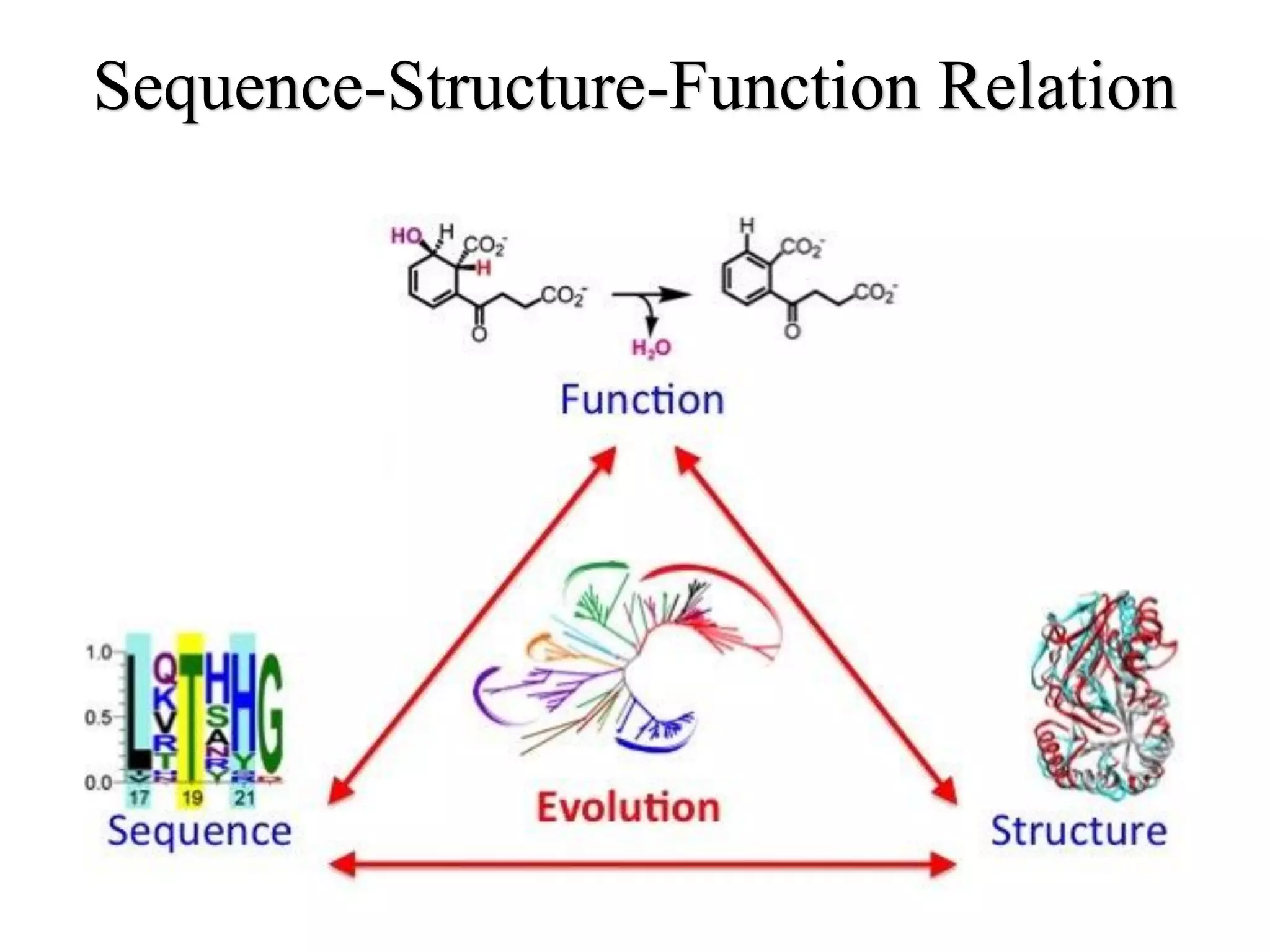 Modularity of protein folds as a tool for template free modeling of ...