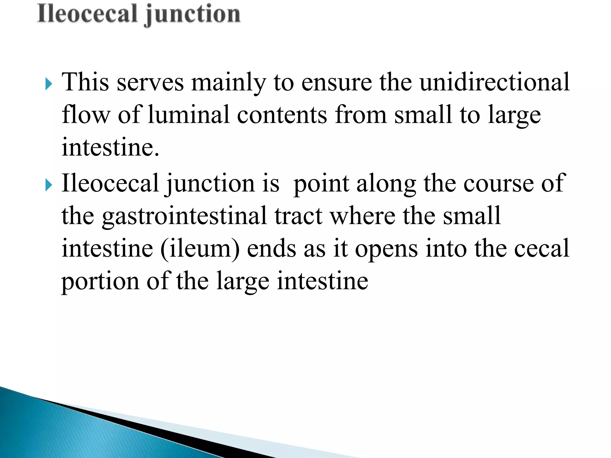 Modulation of GI transit time | PPTX