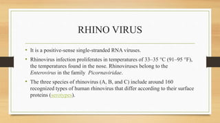 Modulation of the immune system by hrv | PPT