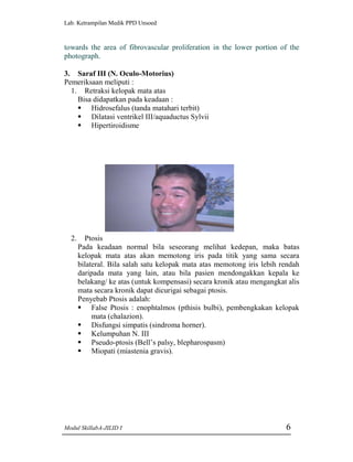 Modul b3 pemeriksaan saraf kranialis | PDF