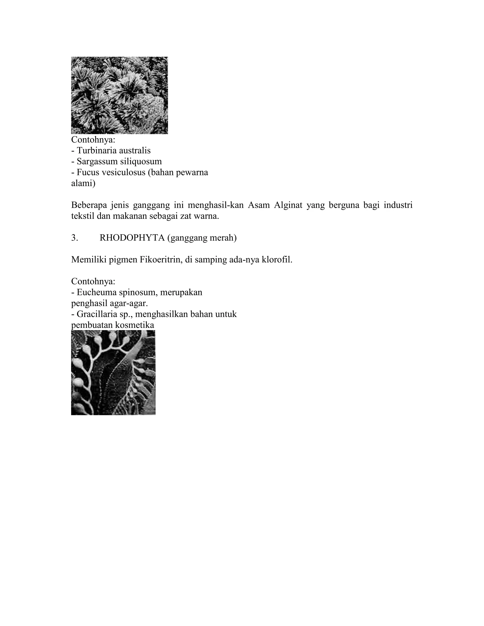 Modul bahan ajar_biologi_kelas_x | PDF