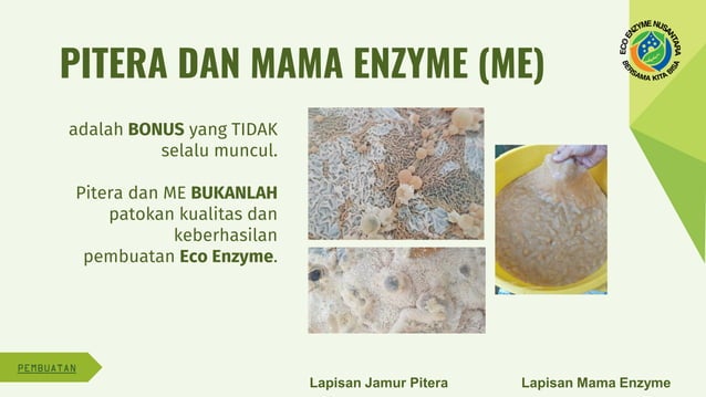 Modul belajar eco enzyme nusantara (final) 2020 | PDF