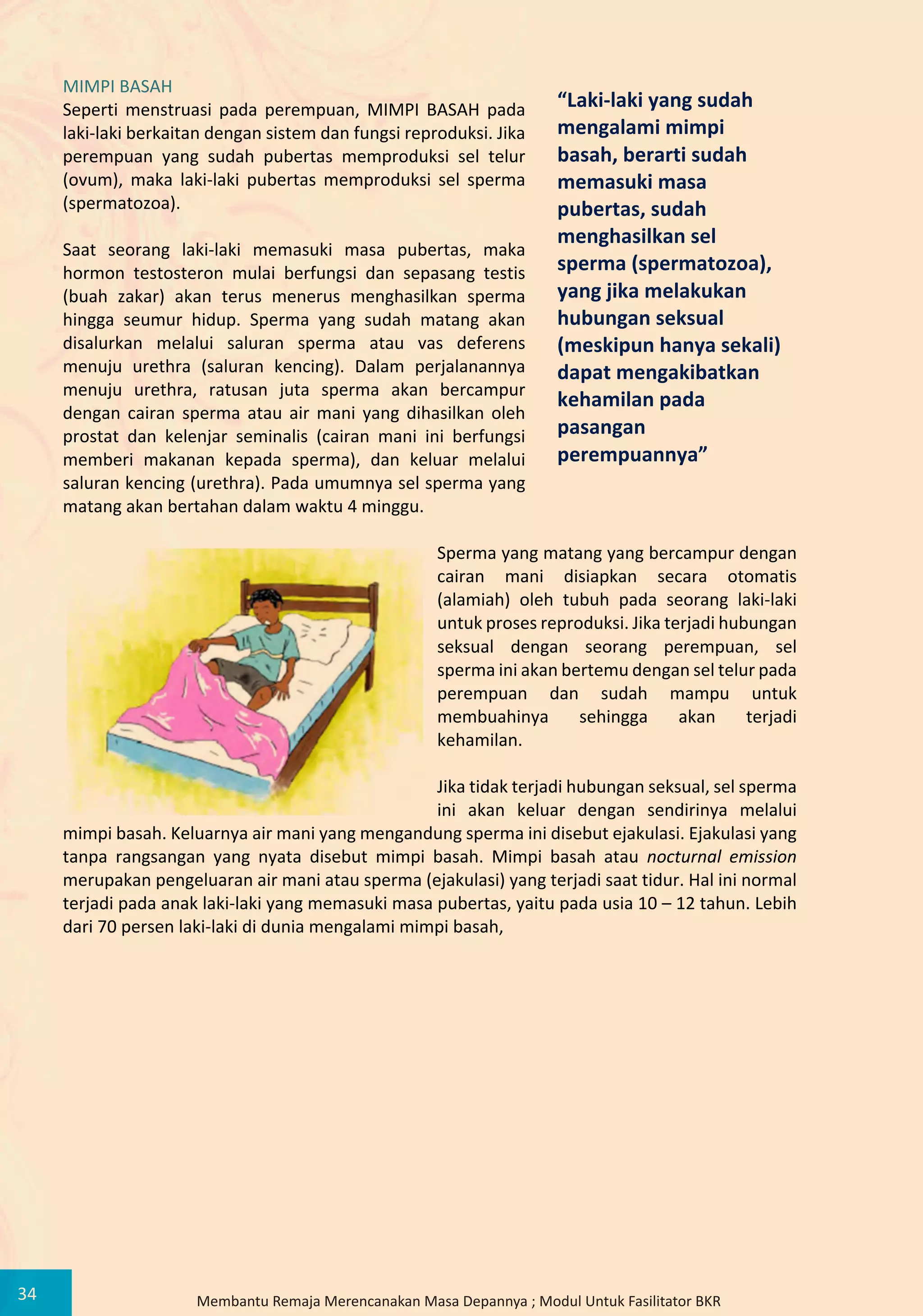 Modul Bina Keluarga Remaja (BKR) BKKBN Program Prioritas Nasional (Pro ...