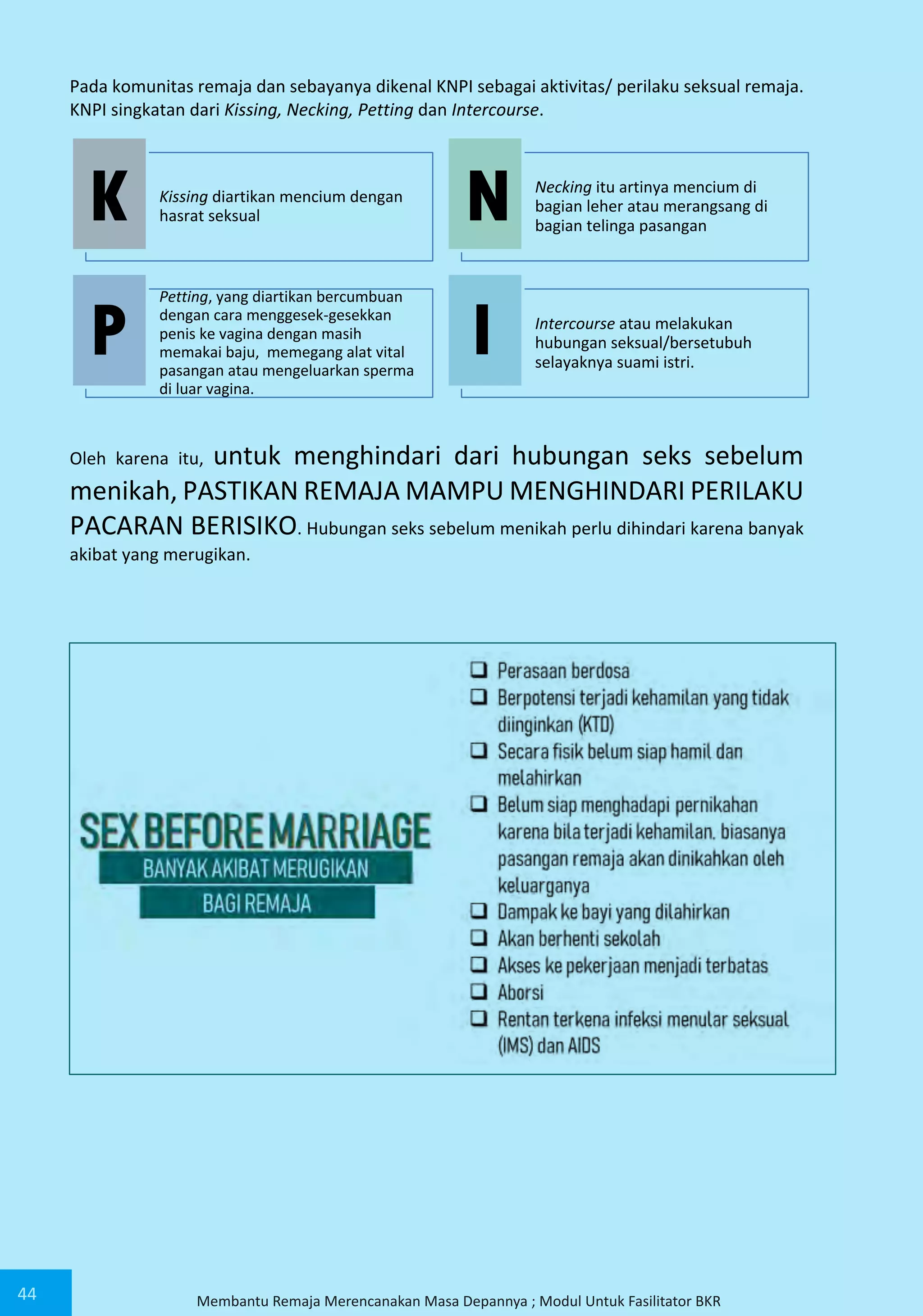 Modul Bina Keluarga Remaja (BKR) BKKBN Program Prioritas Nasional (Pro ...