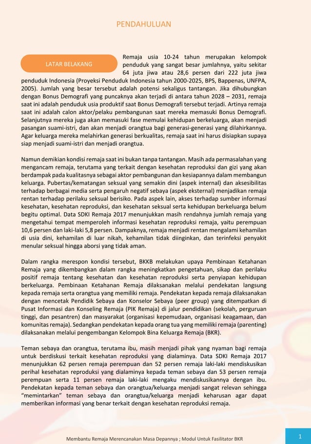Modul Bina Keluarga Remaja (BKR) BKKBN Program Prioritas Nasional (Pro PN) 2019 | PDF