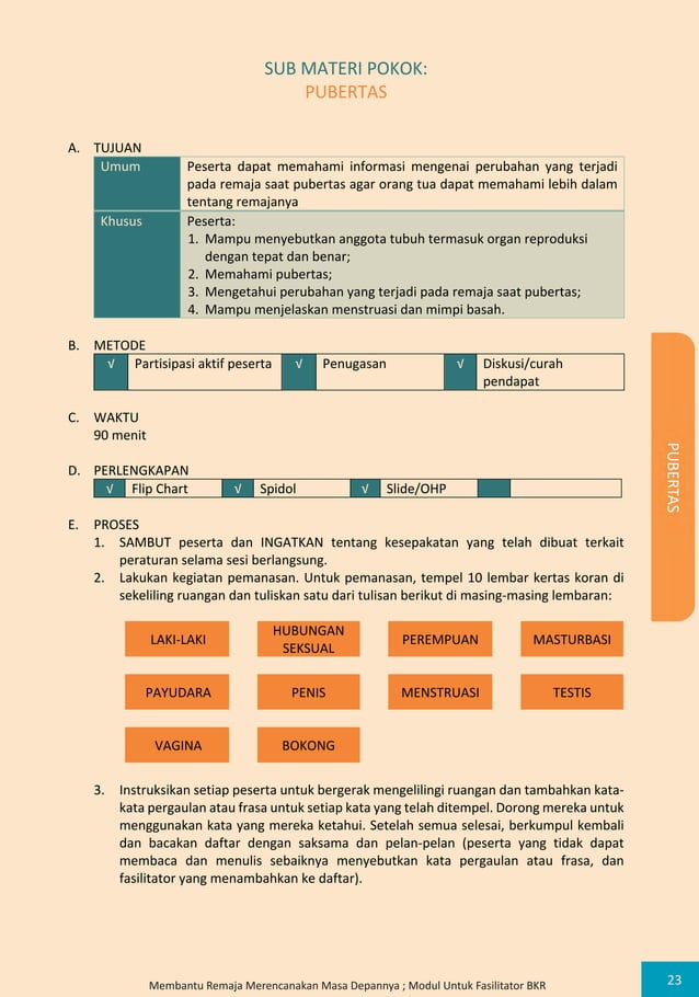 Modul Bina Keluarga Remaja (BKR) BKKBN Program Prioritas Nasional (Pro PN) 2019 | PDF