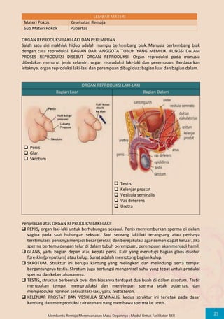 Modul Bina Keluarga Remaja (BKR) BKKBN Program Prioritas Nasional (Pro PN) 2019 | PDF