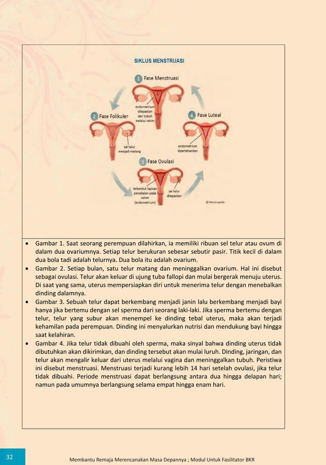 Modul Bina Keluarga Remaja (BKR) BKKBN Program Prioritas Nasional (Pro PN) 2019 | PDF