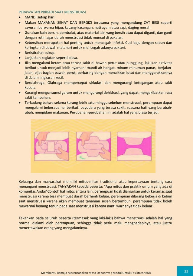 Modul Bina Keluarga Remaja (BKR) BKKBN Program Prioritas Nasional (Pro PN) 2019 | PDF
