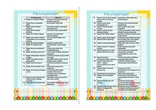 Modul bm (landscape) | DOCX