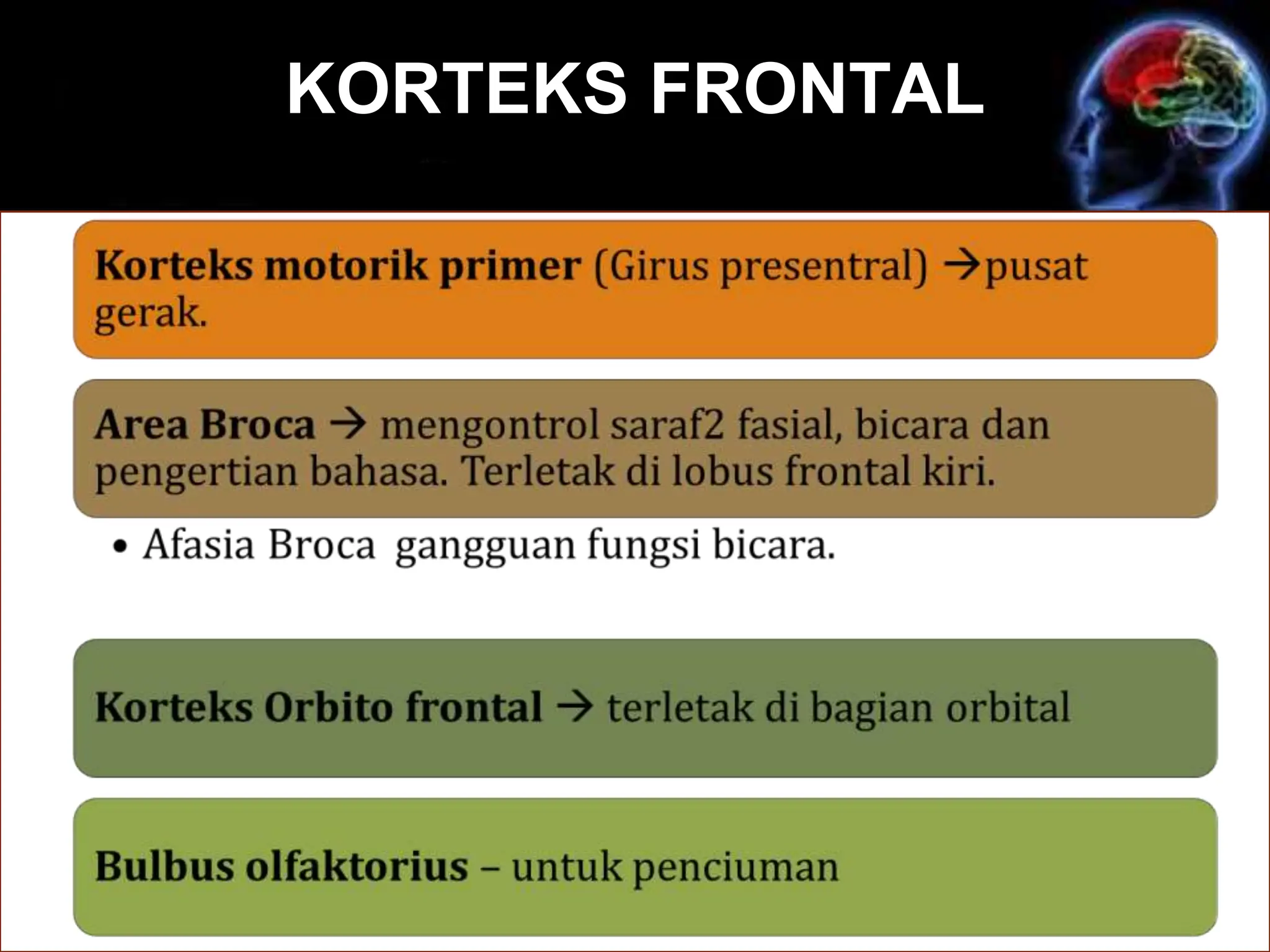 Modul bedah saraf anatomy dan fisiologi.pptx