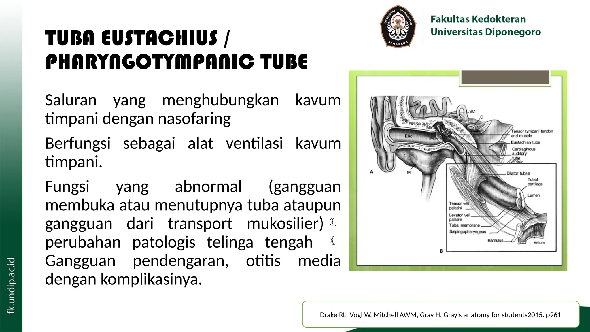 Disfungsi Tuba Eustachius serta tatalaksana | PPTX