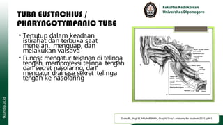 Disfungsi Tuba Eustachius serta tatalaksana | PPTX