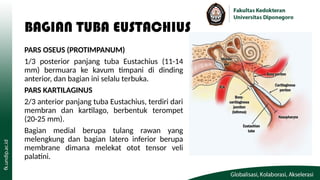 Disfungsi Tuba Eustachius serta tatalaksana | PPTX