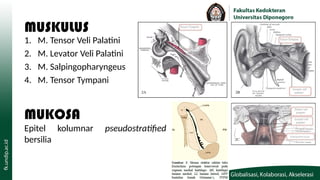 Disfungsi Tuba Eustachius serta tatalaksana | PPTX