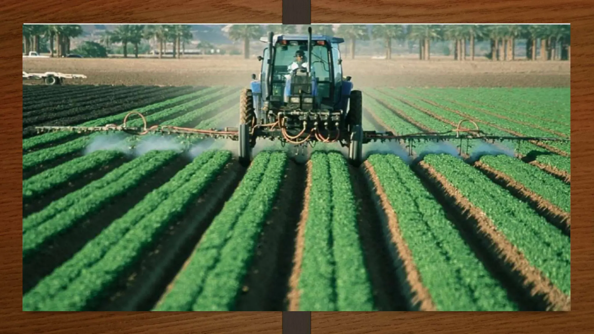 Module-1-BASIC-CONCEPT-OF-AGRICULTURAL-CROP-PRODUCTION (1).pptx