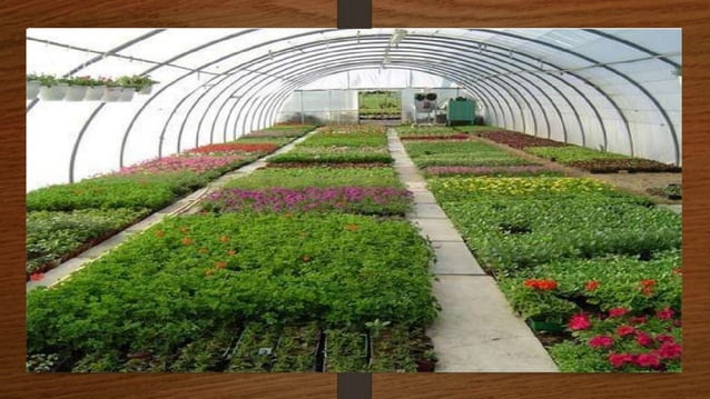 Module-1-BASIC-CONCEPT-OF-AGRICULTURAL-CROP-PRODUCTION (1).pptx ...