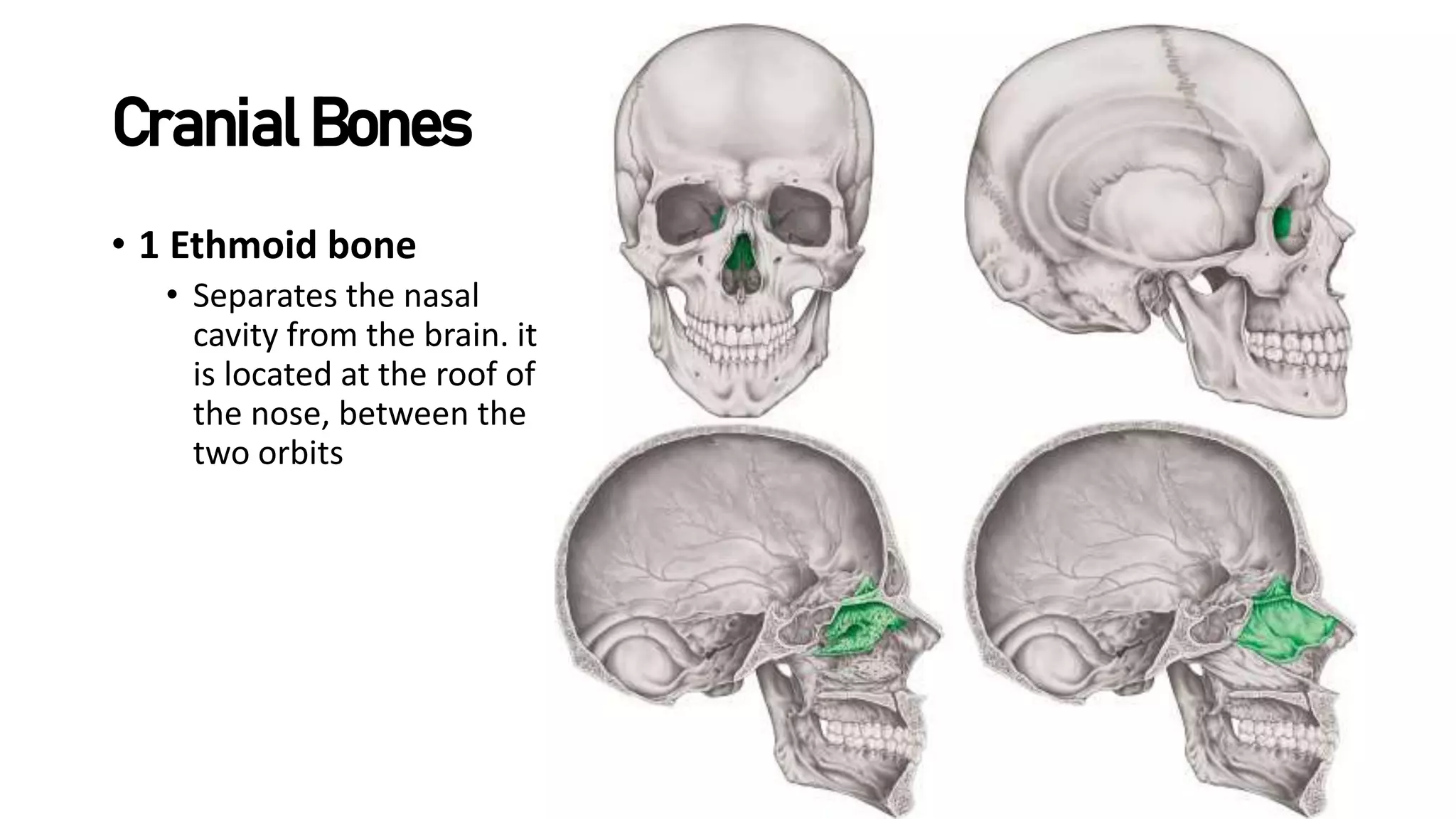 Module-1-Bones-of-the-Skull.pptx