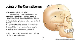 Module-1-Bones-of-the-Skull.pptx