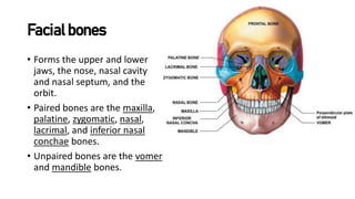 Module-1-Bones-of-the-Skull.pptx