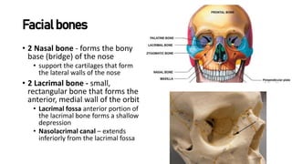 Module-1-Bones-of-the-Skull.pptx