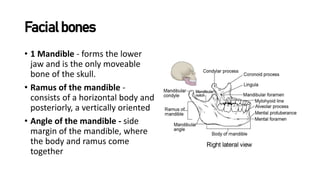 Module-1-Bones-of-the-Skull.pptx