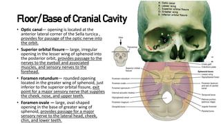 Module-1-Bones-of-the-Skull.pptx