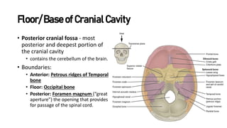 Module-1-Bones-of-the-Skull.pptx