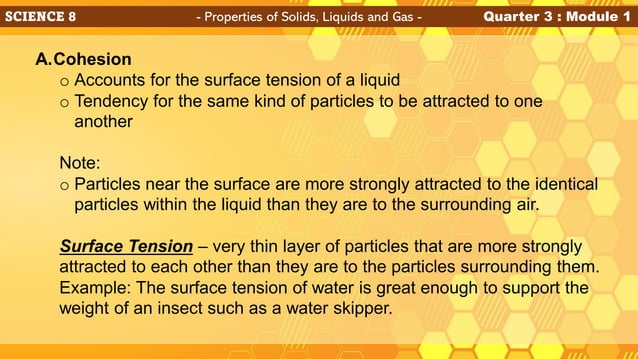 Module-1-Properties-of-Solids-Liquids-and-Gas (1).pdf | Chemistry | Science