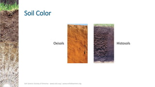 module-1-soil-basics-and-physical-properties.pptx