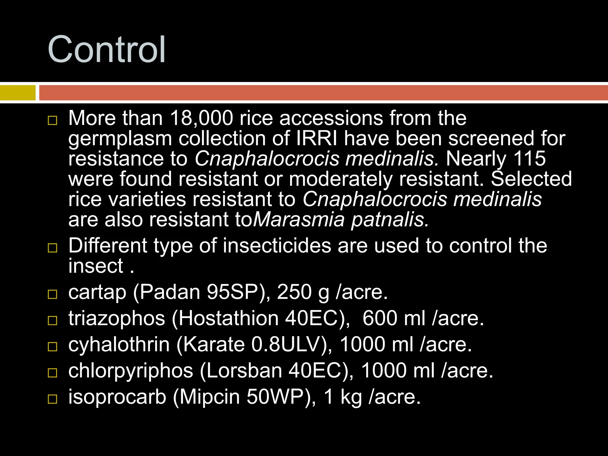 Module-13 Pests of rice and maize.copyrightpptx | PPTX