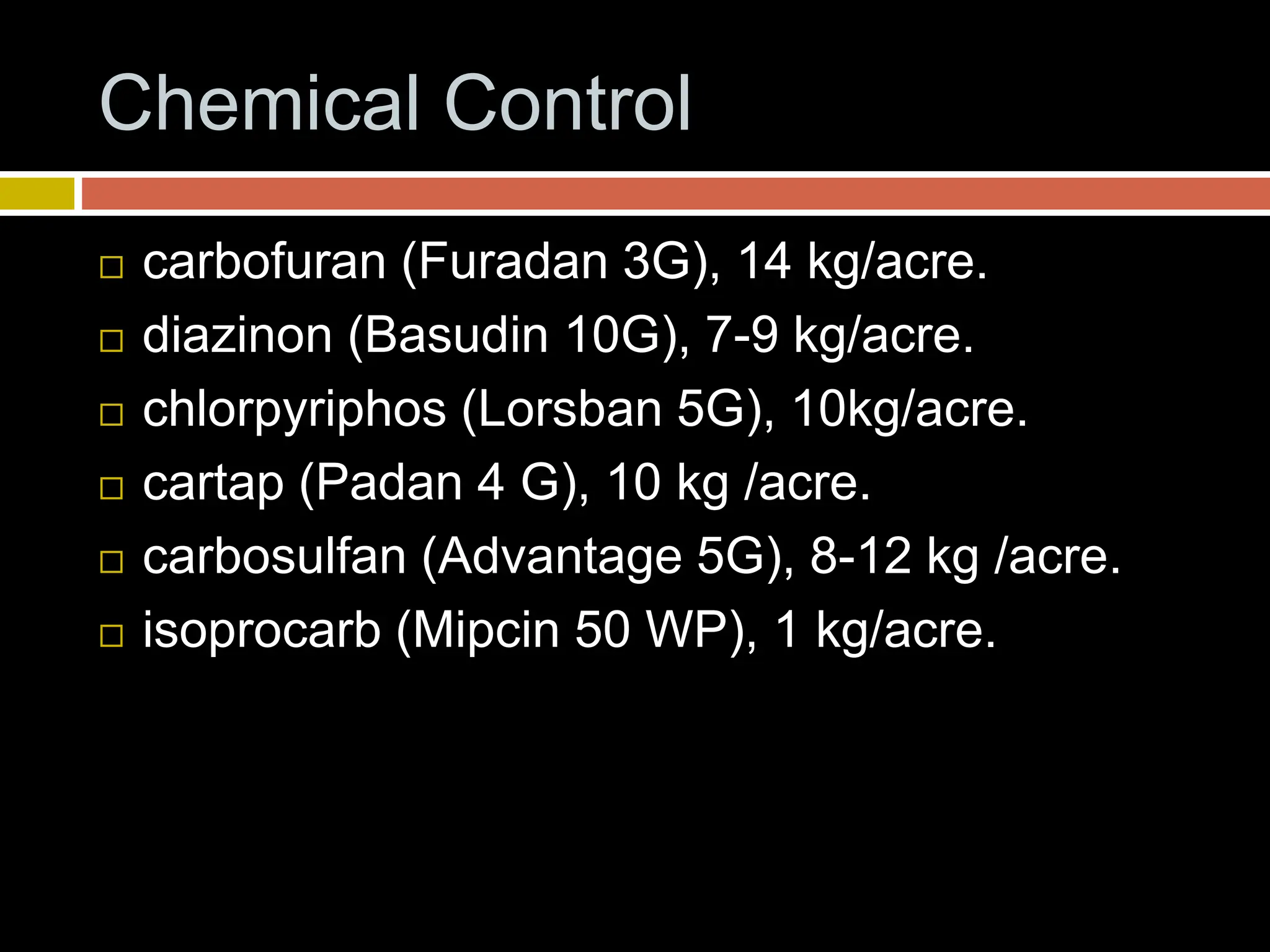 Module-13 Pests of rice and maize.copyrightpptx | PPTX