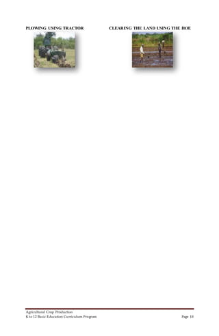 Module | DOCX