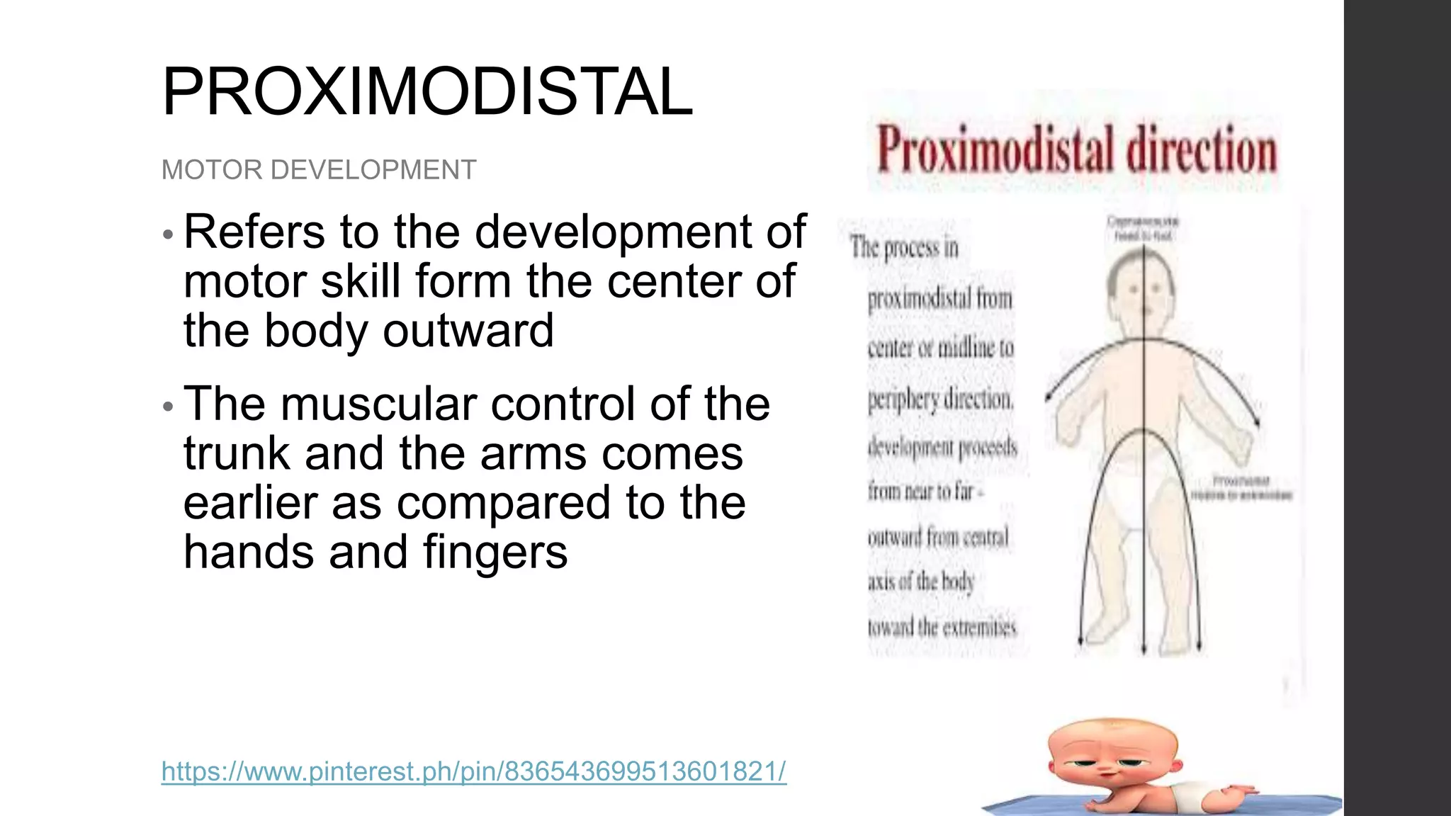 Module 12 INFANCY AND TODDLERHOOD | PPTX