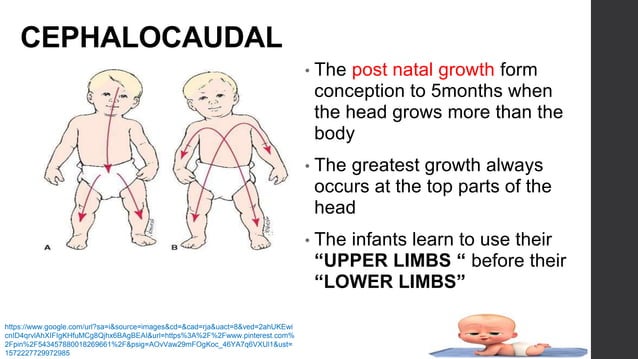 Module 12 INFANCY AND TODDLERHOOD | PPTX | Parenting Babies and Toddlers | Parenting