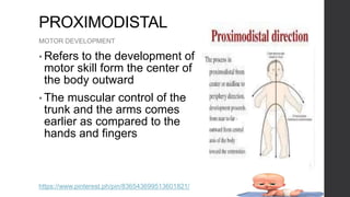 Module 12 INFANCY AND TODDLERHOOD | PPTX